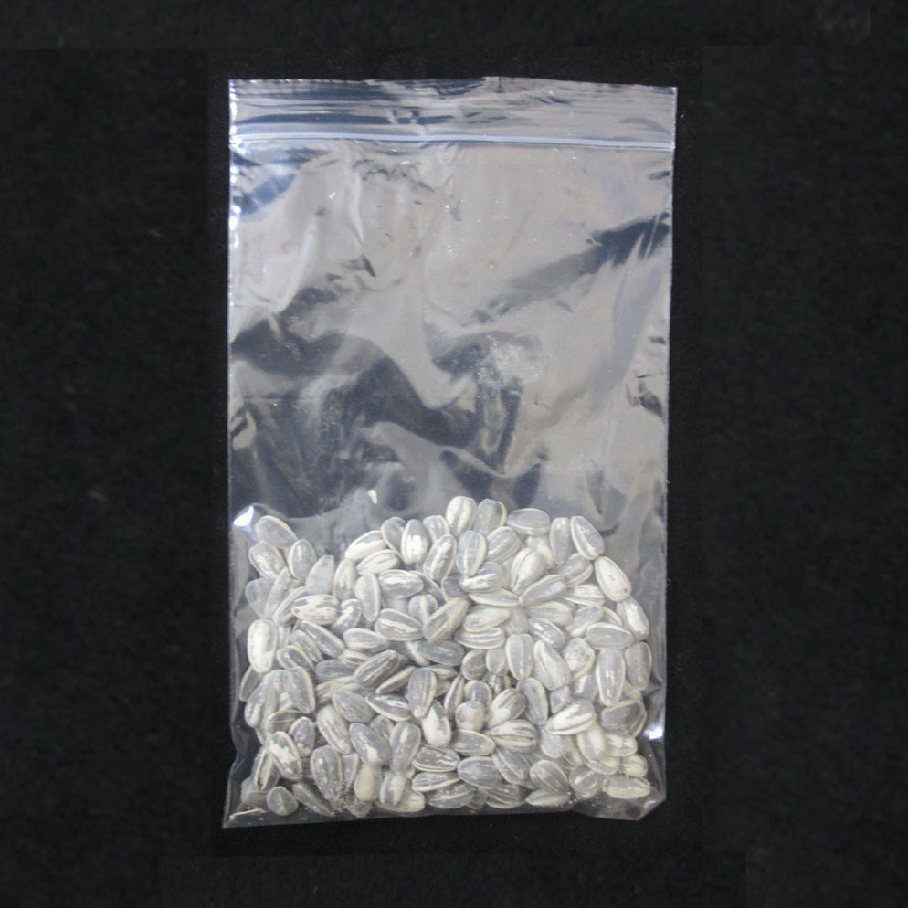 600 Clear Baggies Reclosable Zipper Lock Plastic Bags Poly Jewelry Ass ...